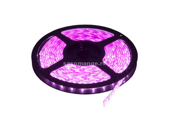 Hennessy LED traka roza 60 LED / 1m ( LTR2835/60P-12 )