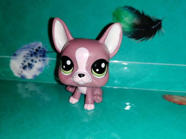 Littlest pet shop lps