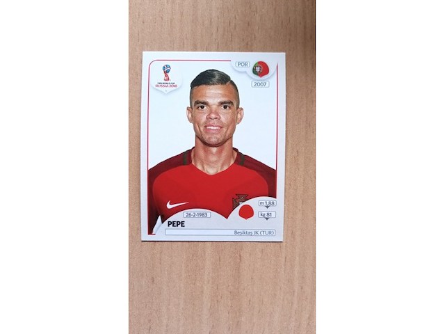 Panini Rusija Russia 2018 sličica broj 104