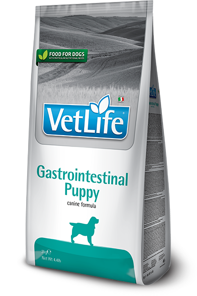 GASTROINTESTINAL PUPPY