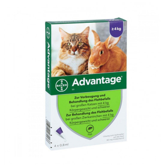 BAYER Advantage Cat 40