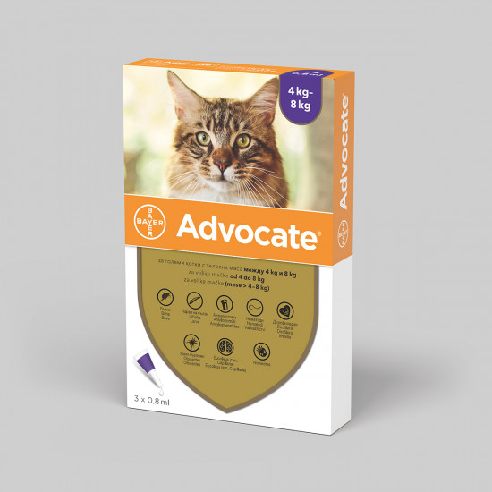 BAYER Advocate Cat 4-8 kg