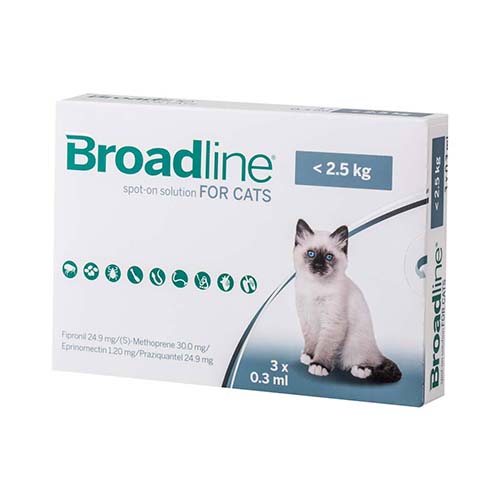 BROADLINE CAT SMALL <2,5 kg (Pozvati za cenu)