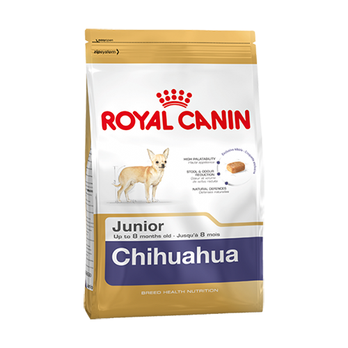 CHIHUAHUA JUNIOR 0,5kg (Pozvati za cenu)