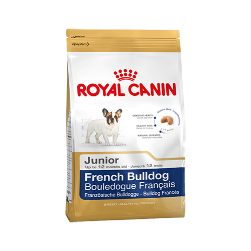 FRENCH BULLDOG JUNIOR 3kg (Pozvati za cenu)