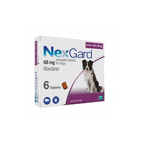 NEXGARD DOG L 10-25 kg 6/1