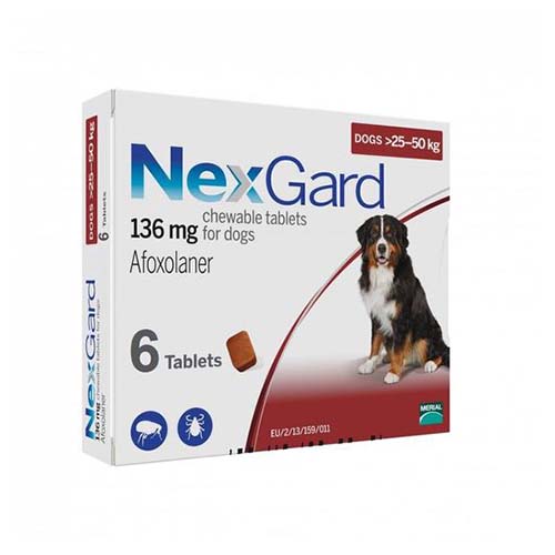 NEXGARD DOG XL 25-50 kg 6/1