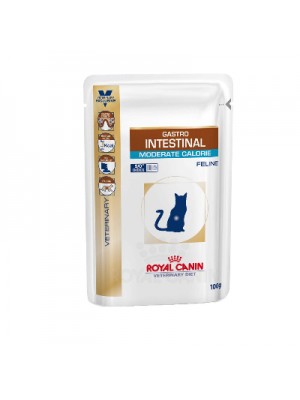 ROYAL CANIN Gastro Interstinal Cat 100 g