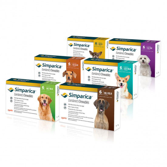 SIMPARICA Dog 10 mg 2,5-5 kg