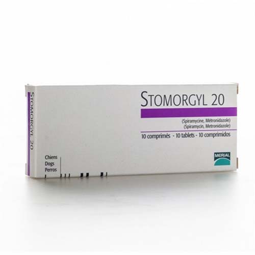 STOMORGYL 20