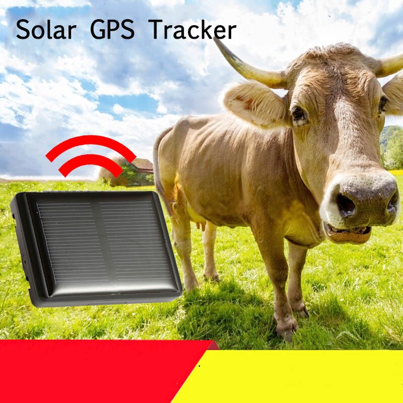 RF-V26+(RF-V24) Solarni GPS Tracker (4000 mAh) za krave, ovce, koze.