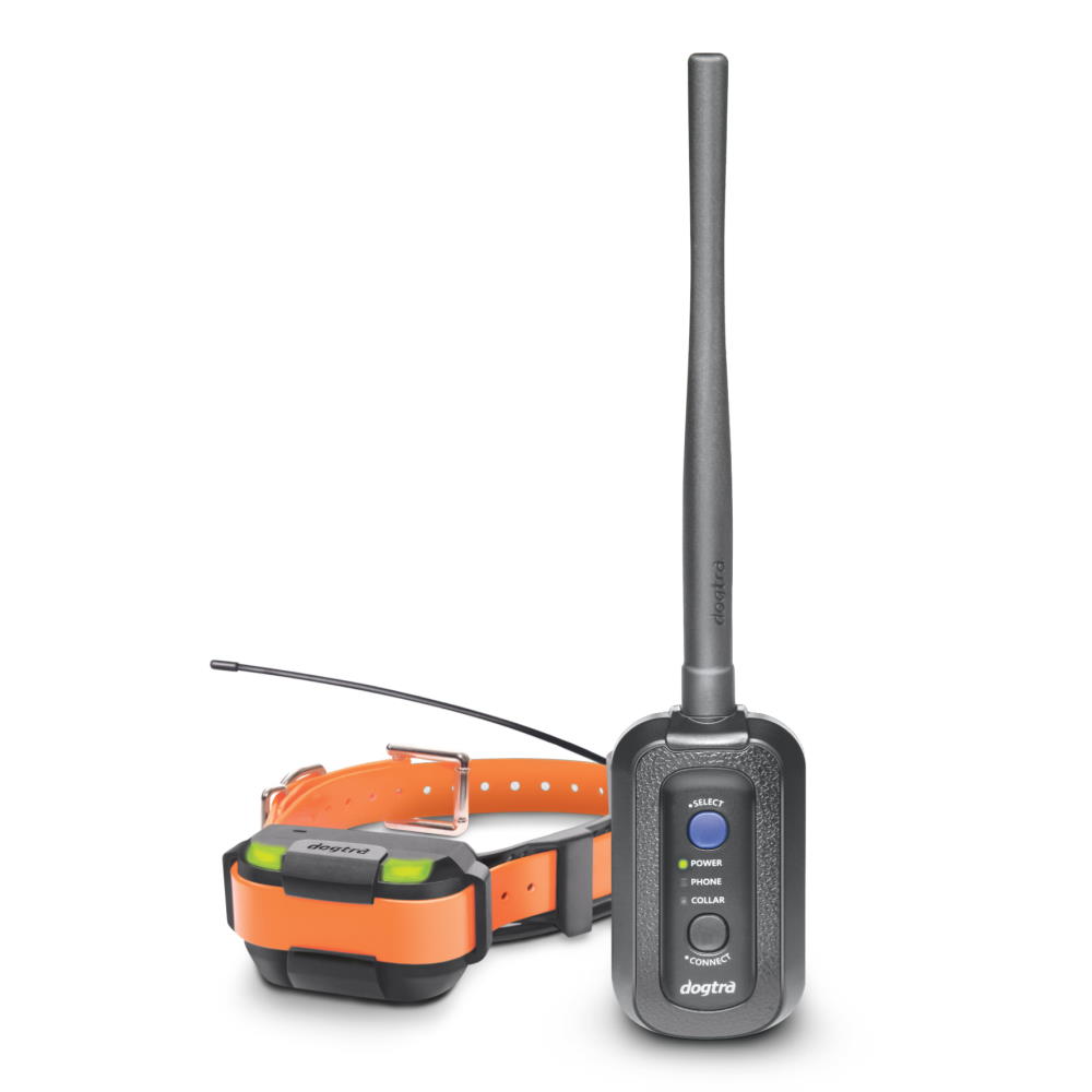 DOGTRA Pathfinder Mini GPS