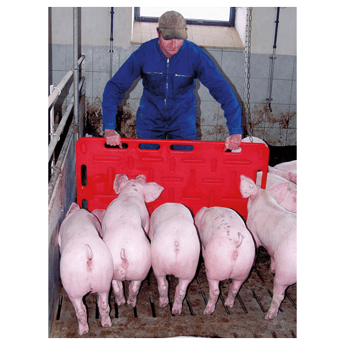 Tabla za gonjenje svinja 121x76cm