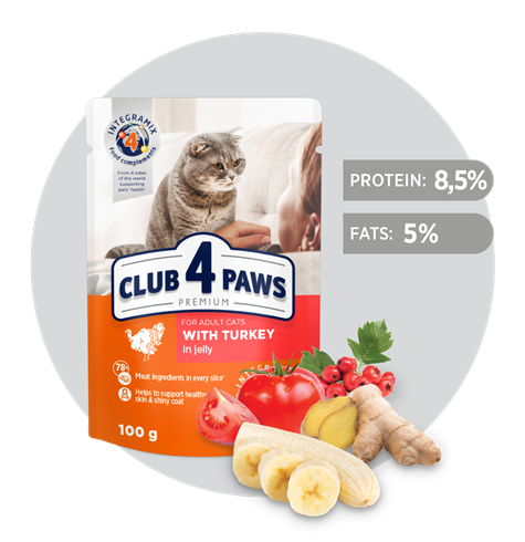 CLUB 4 PAWS ADULT SOSIĆ ZA MACE ĆURETINA U ŽELEU 100G