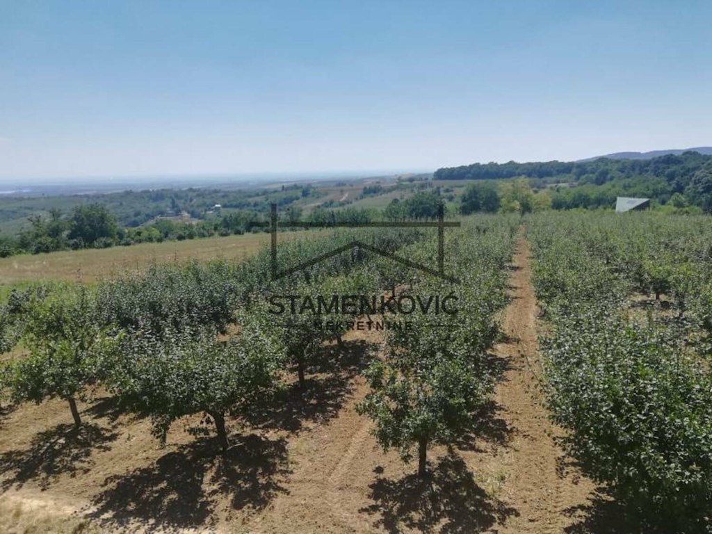 Jedinstvena Ponuda-Građevinsko Zemljište na obroncima Fruške Gore - Vrdnik I