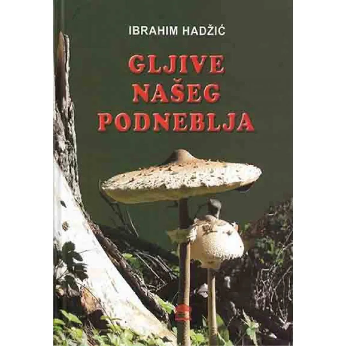 GLJIVE NAŠEG PODNEBLJA