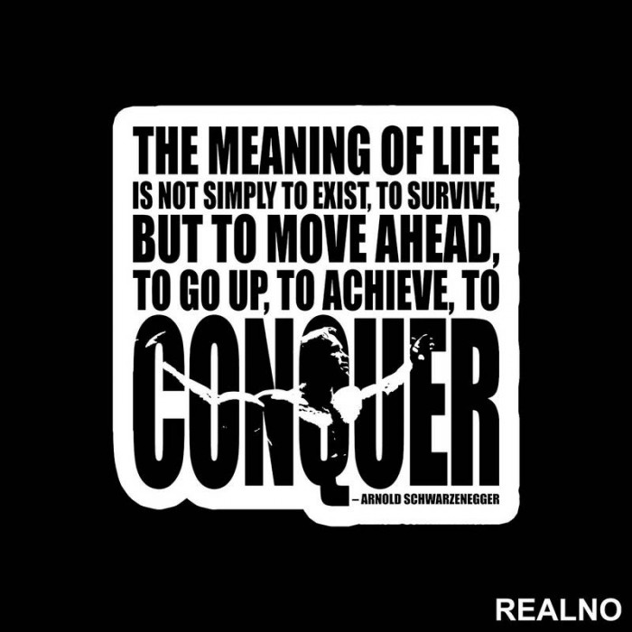 THE MEANING OF LIFE IS TO MOVE AHEAD AND CONQUER - TRENING - NALEPNICA