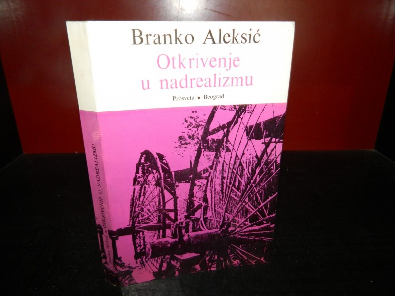 Otkrivenje u nadrealizmu, Branko Aleksić