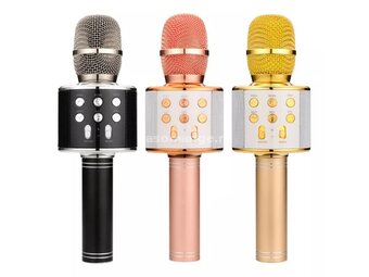 Karaoke Mikrofon Bluetooth Sa Zvucnikom