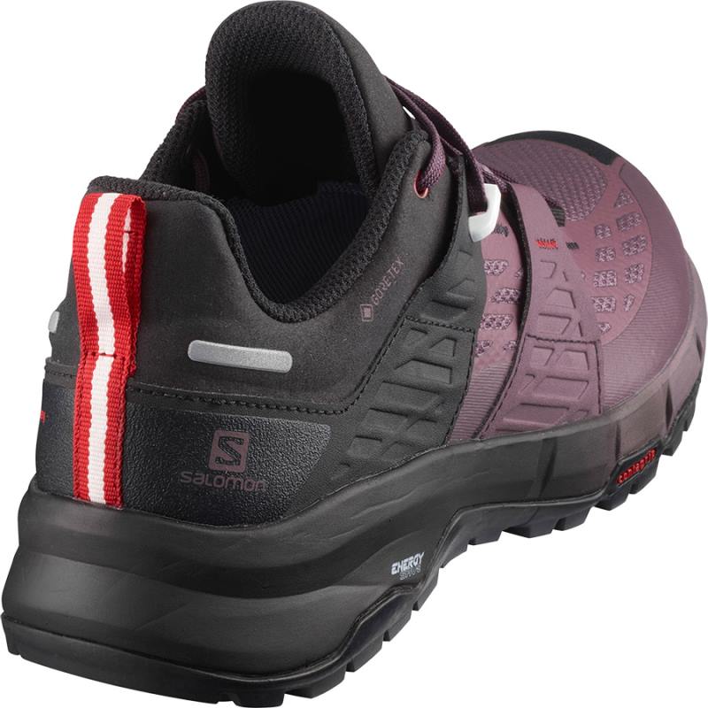 Salomon Patike Za Planinarenje Ženske Odyssey Gtx W Crna/Crveni RS410HY