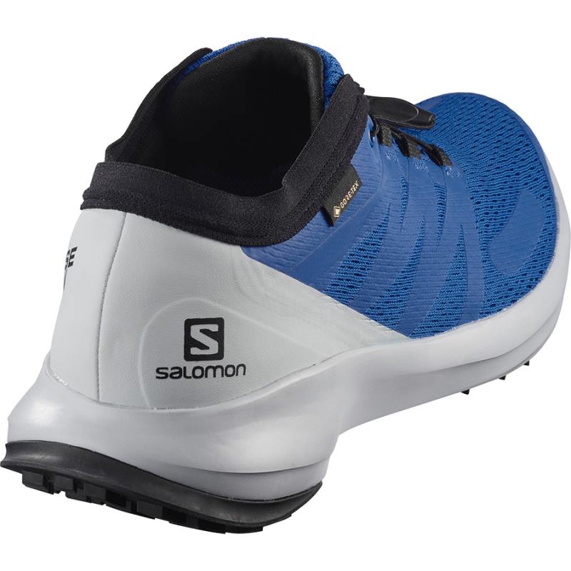 Salomon Muške Patike Za Trail Trčanje Outlet Sense Flow Gtx Plava/Bela/Crna RS637ZE