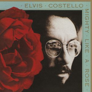 Elvis Costello