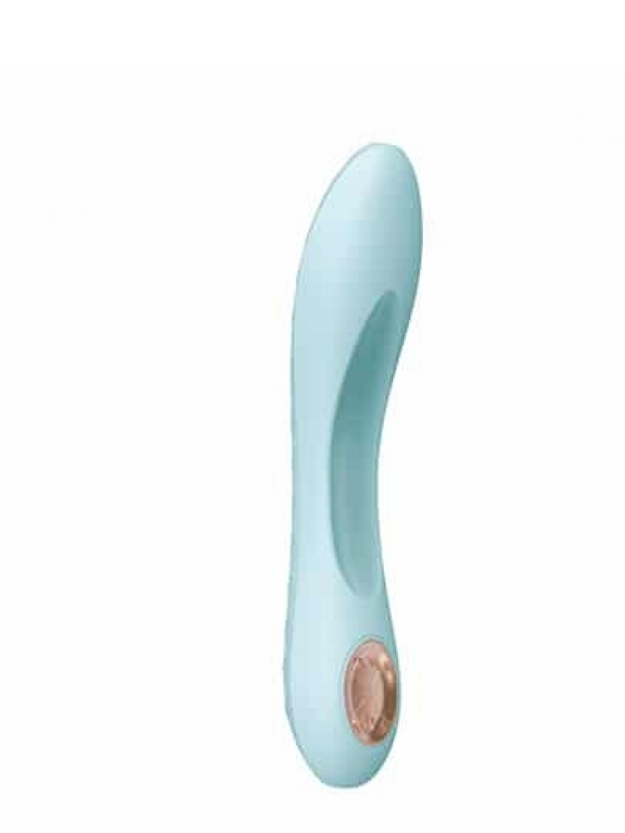 Aquatic Delphine Vibrator