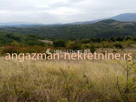 Boljevac – Vrbovac 12ha 58a 33kvm – 70eur/ar ID#19619