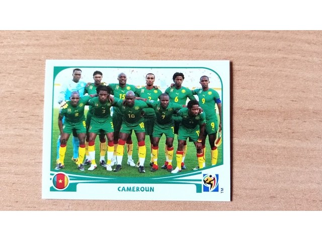 Južna Afrika broj 391 World cup 2010 Panini