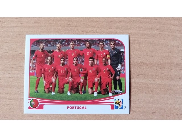 Južna Afrika broj 543 World cup 2010 Panini