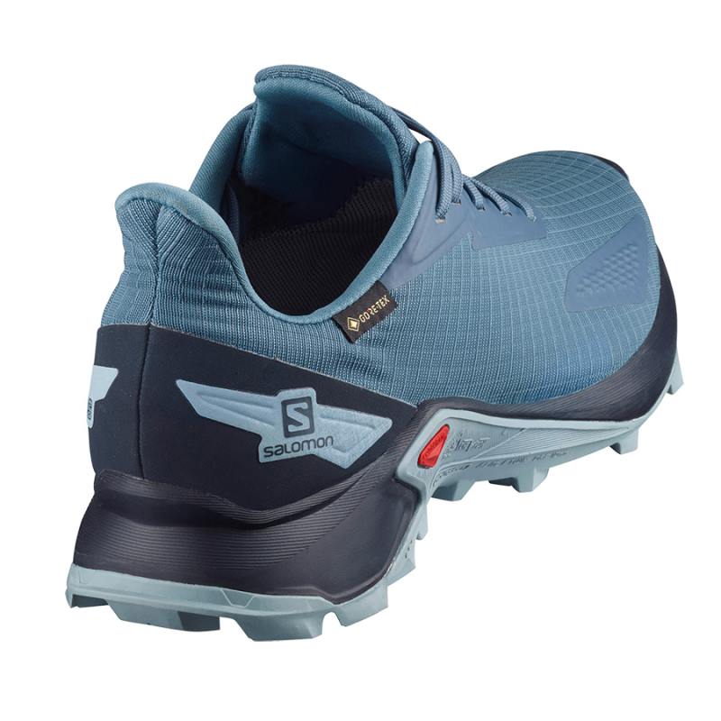 Salomon Patike Za Trail Trčanje Ženske Alphacross Blast Gtx W Plava Mornarica/Siva RS920YW