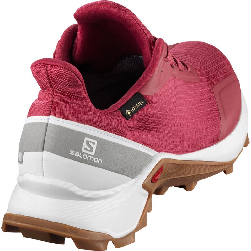 Salomon Ženske Patike Za Planinarenje Outlet Alphacross Gtx W Crveni/Bela RS792HX