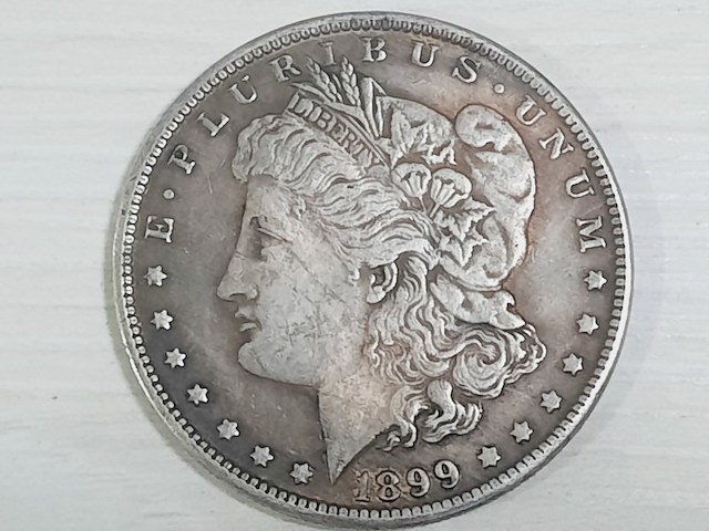 1899 Morgan Dollar