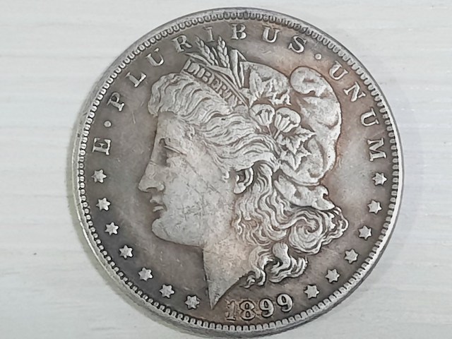 1899 Morgan Dollar
