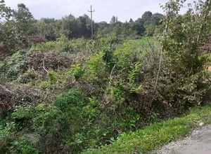 Prodaja Građevinsko zemljište - Sremska Mitrovica