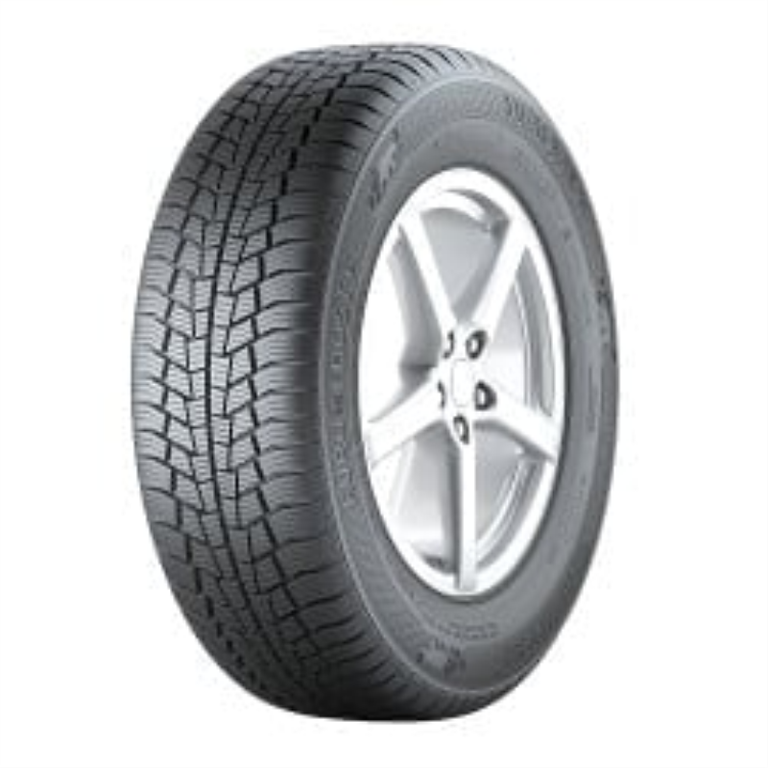 G225/55R16 99H XL EURO FROST-6 GISLAVED M+S