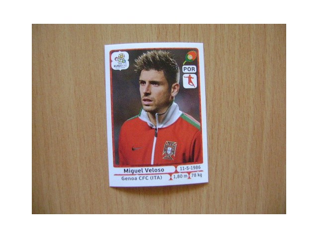 Euro 2012 Panini broj 270