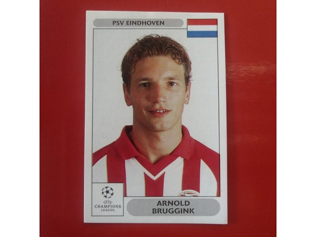 Liga šampiona 2000-2001 282 Arnold Bruggnik