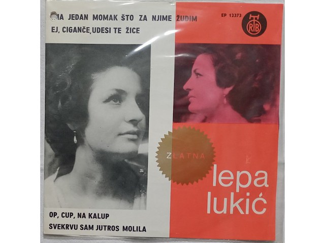 LEPA LUKIC - Ima jedan momak sto za njime zudim