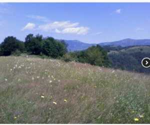 Stara planina, 18 hektara.