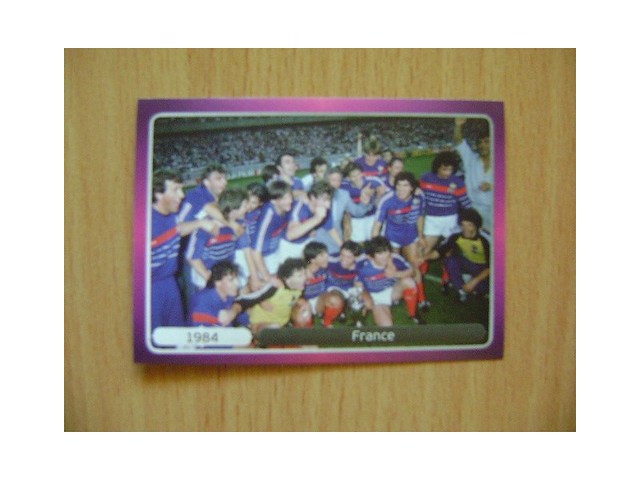 Euro 2012 Panini broj 526