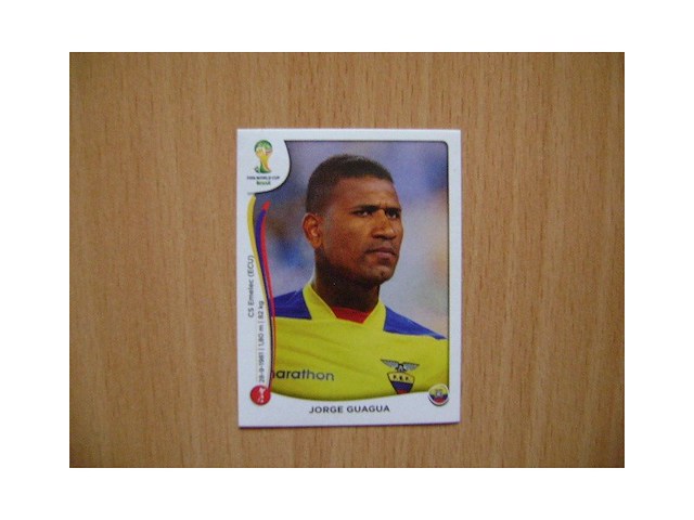 Brazil Panini 2014 broj 360