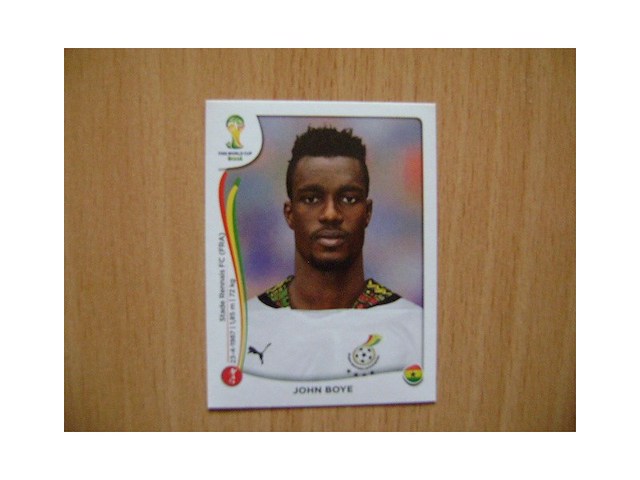 Brazil Panini 2014 broj 533