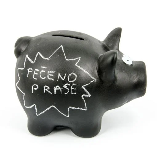 Kasica Prasica Sa Kredom V2