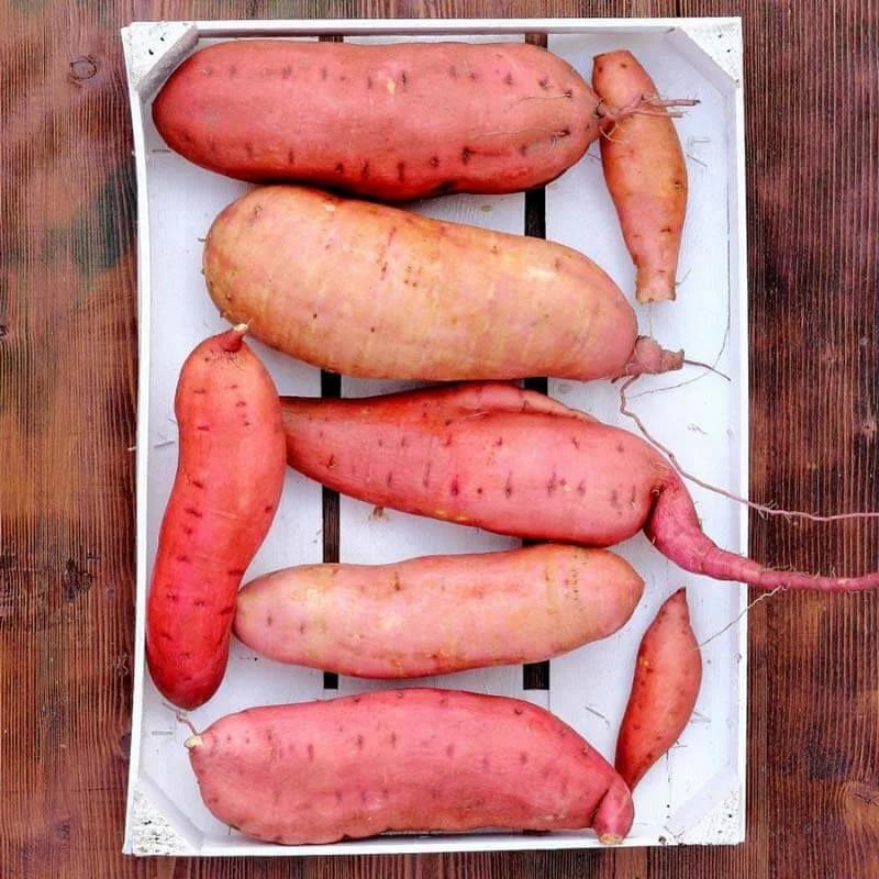 Organski Batat (slatki krompir) Rozi 500g