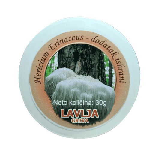 Lavlja Griva u prahu ( Hericium Erinaceus ) 30g