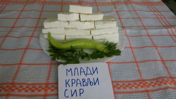 Mladi sir 1kg, Zora Gavrilović