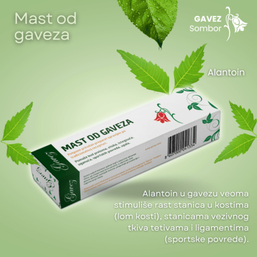 Mast od gaveza 80ml Gavez