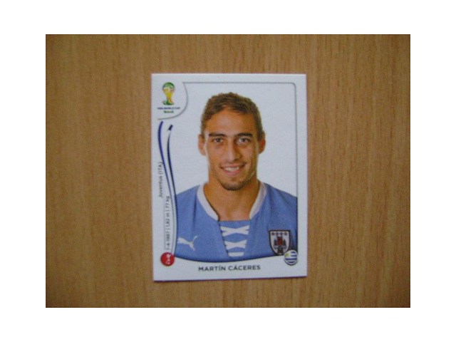 Brazil Panini 2014 broj 266