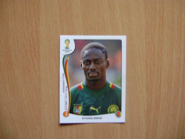 Brazil Panini 2014 broj 100